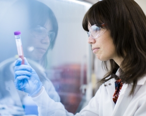 School of Natural Sciences